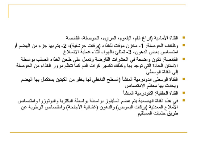 Digestive System In Insects And Digestion Ppt