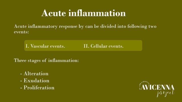 9. Inflammation 1 pathological anatomy.pptx