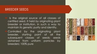 9. P - 8 - CLASSES OF SEEDS for germination.pptx