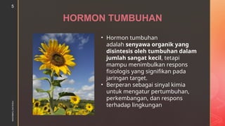PERTEMUAN KE-9 FISIOLOGI TUMBUHAN. MATERI FITOHORMON.pptx