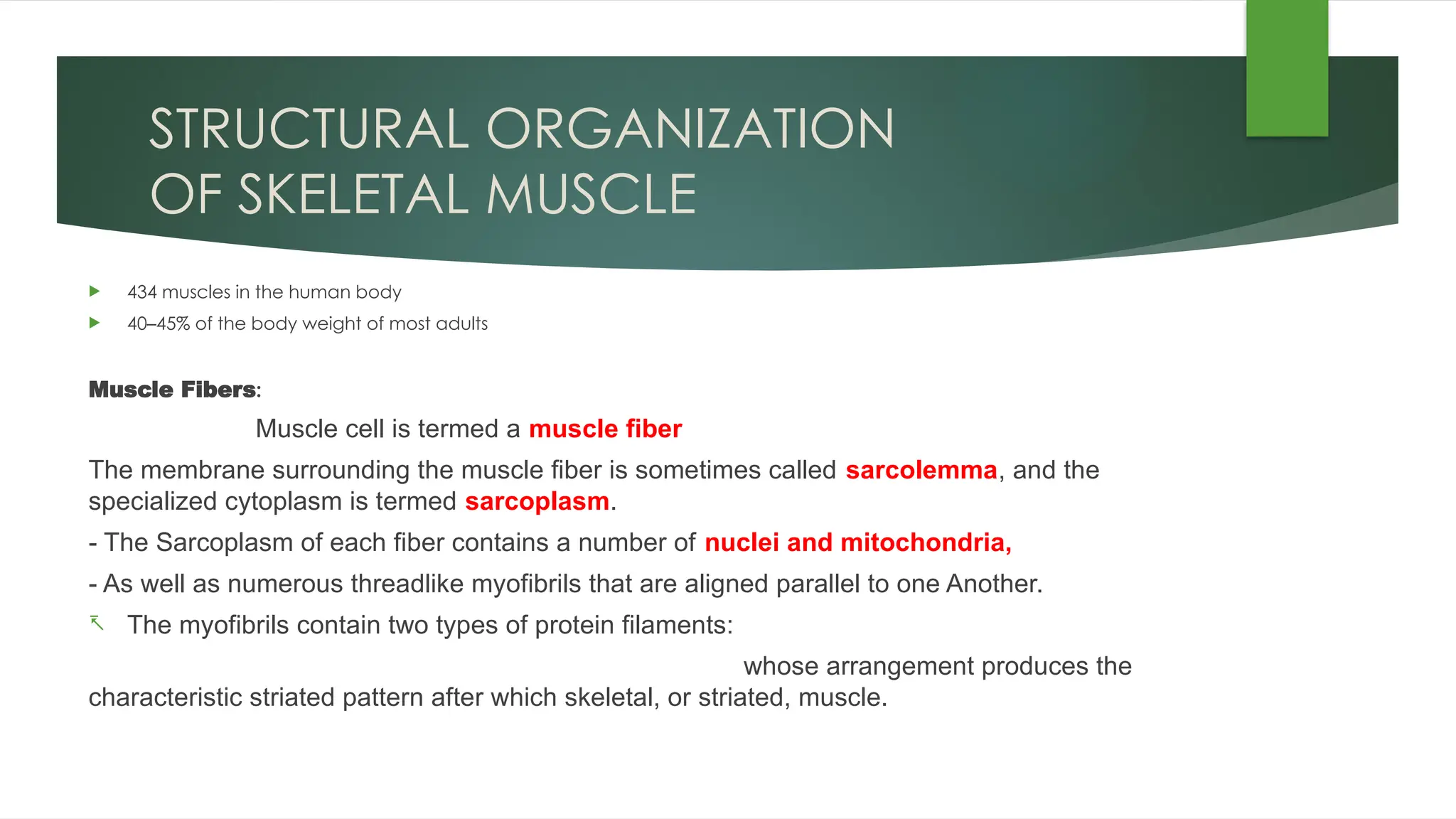 9.Biomechanics of Skeletal Muscles Final.pptx
