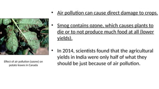 9. The impact of water scarcity and pollution on food production (1).pptx