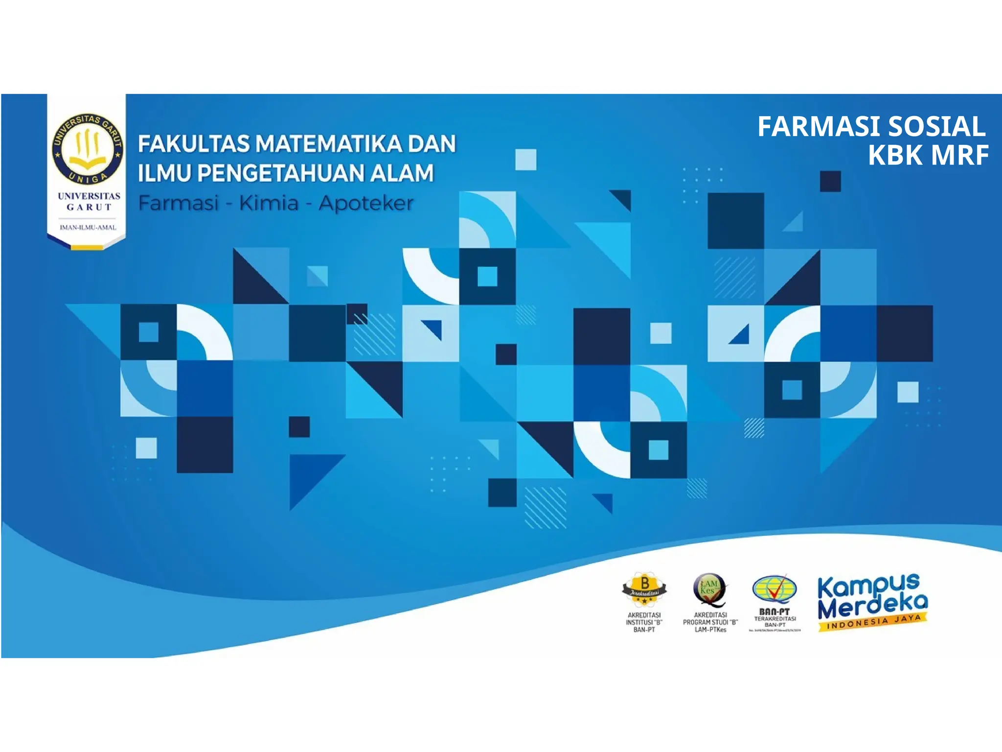 9. FIP Development Goals (farmasi sosial).pptx