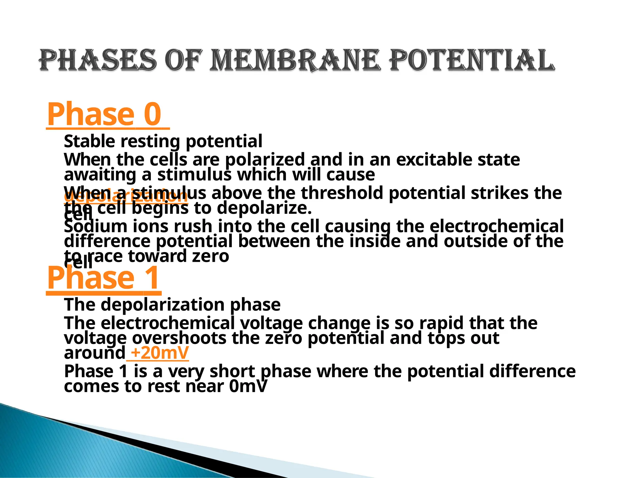 9. action potential.pptx