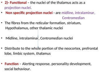 9.THALAMUS- part of brain, its classification, connections, functions ...