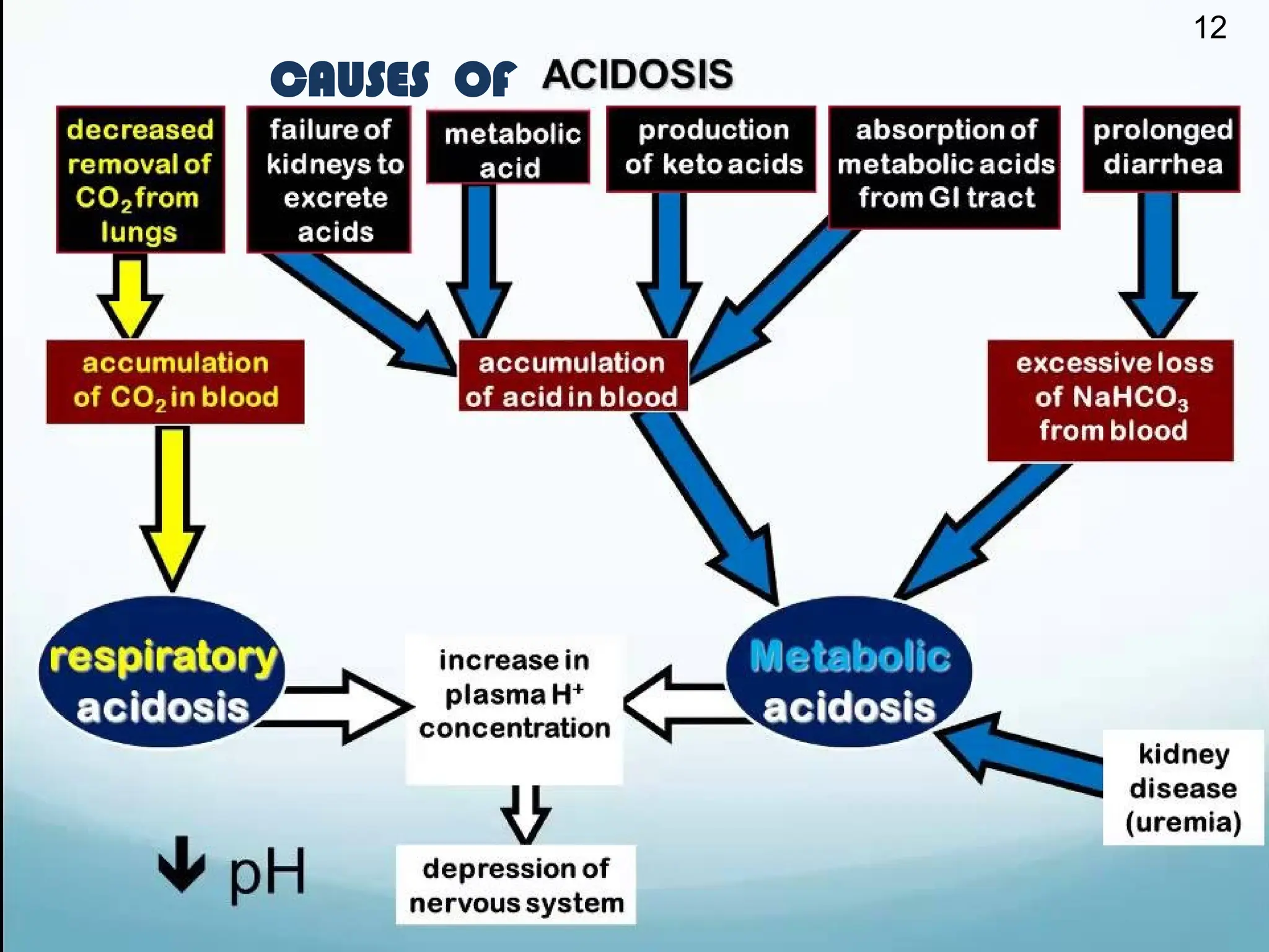 9. Acid Base.ppt acid and base buffer system | PPT
