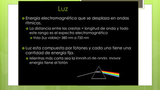 9. Fotosíntesis.pdf presentacion explicacion | PDF