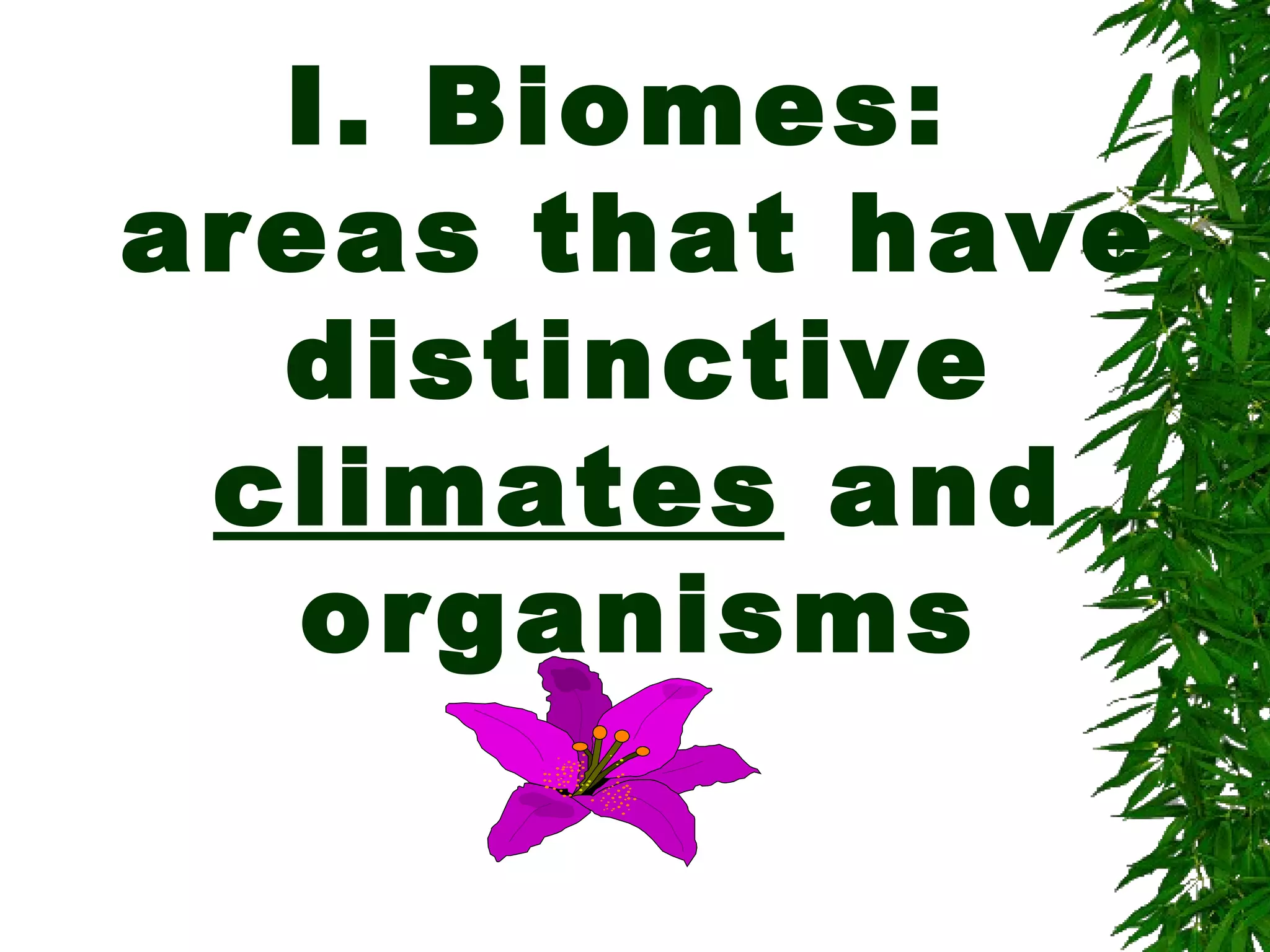 Terrestrial biomes | PPT