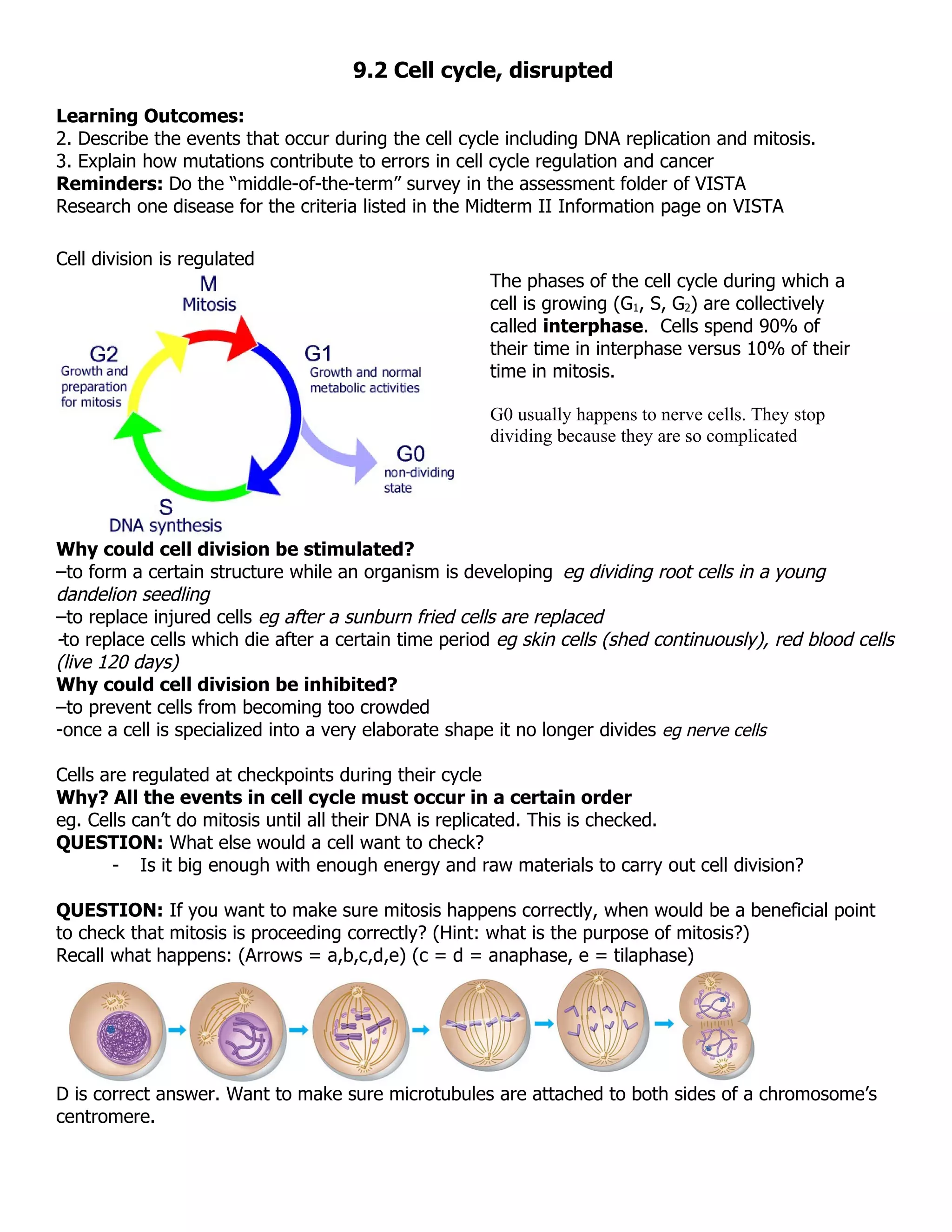 9.2 Cell Cycle Disrupted | DOC