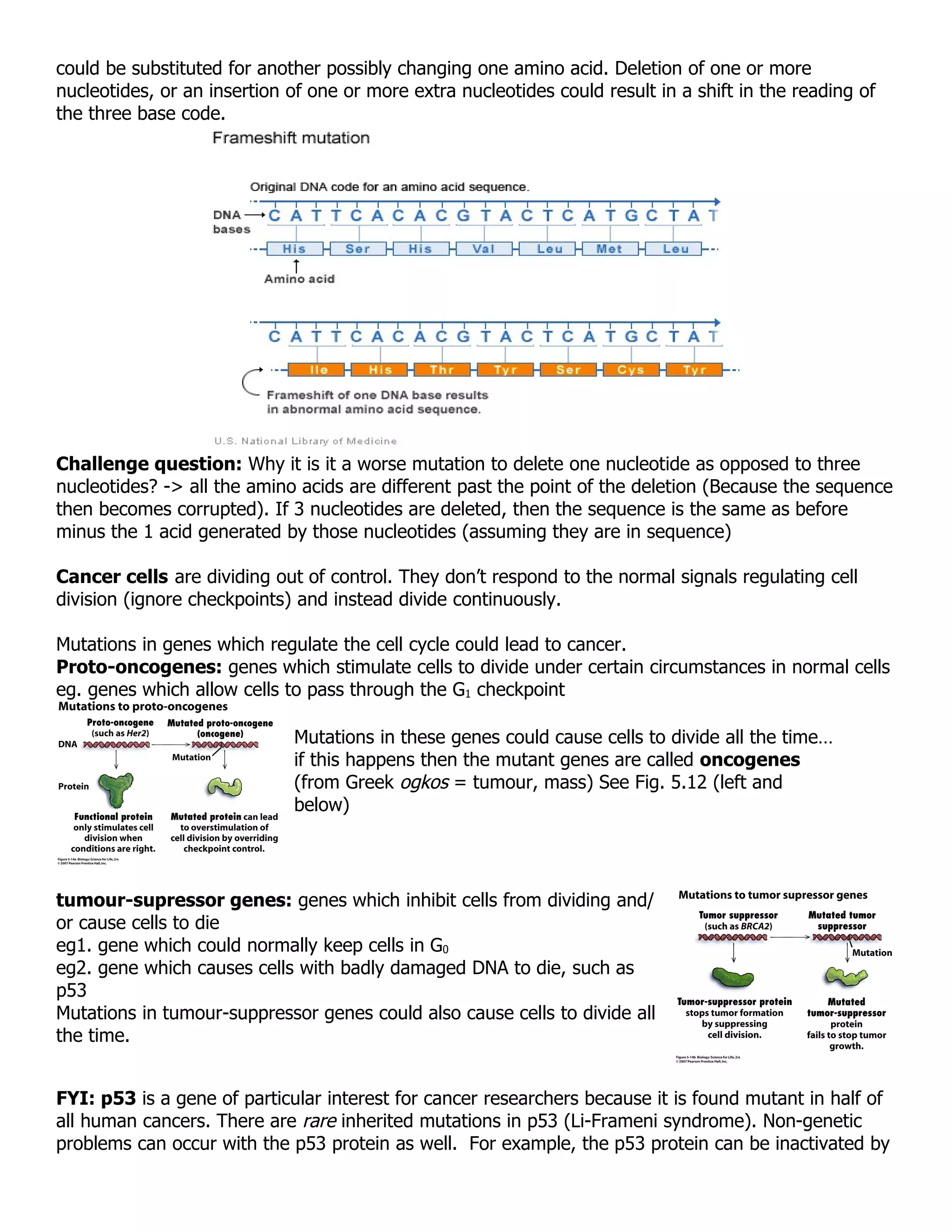 9.2 Cell Cycle Disrupted | DOC