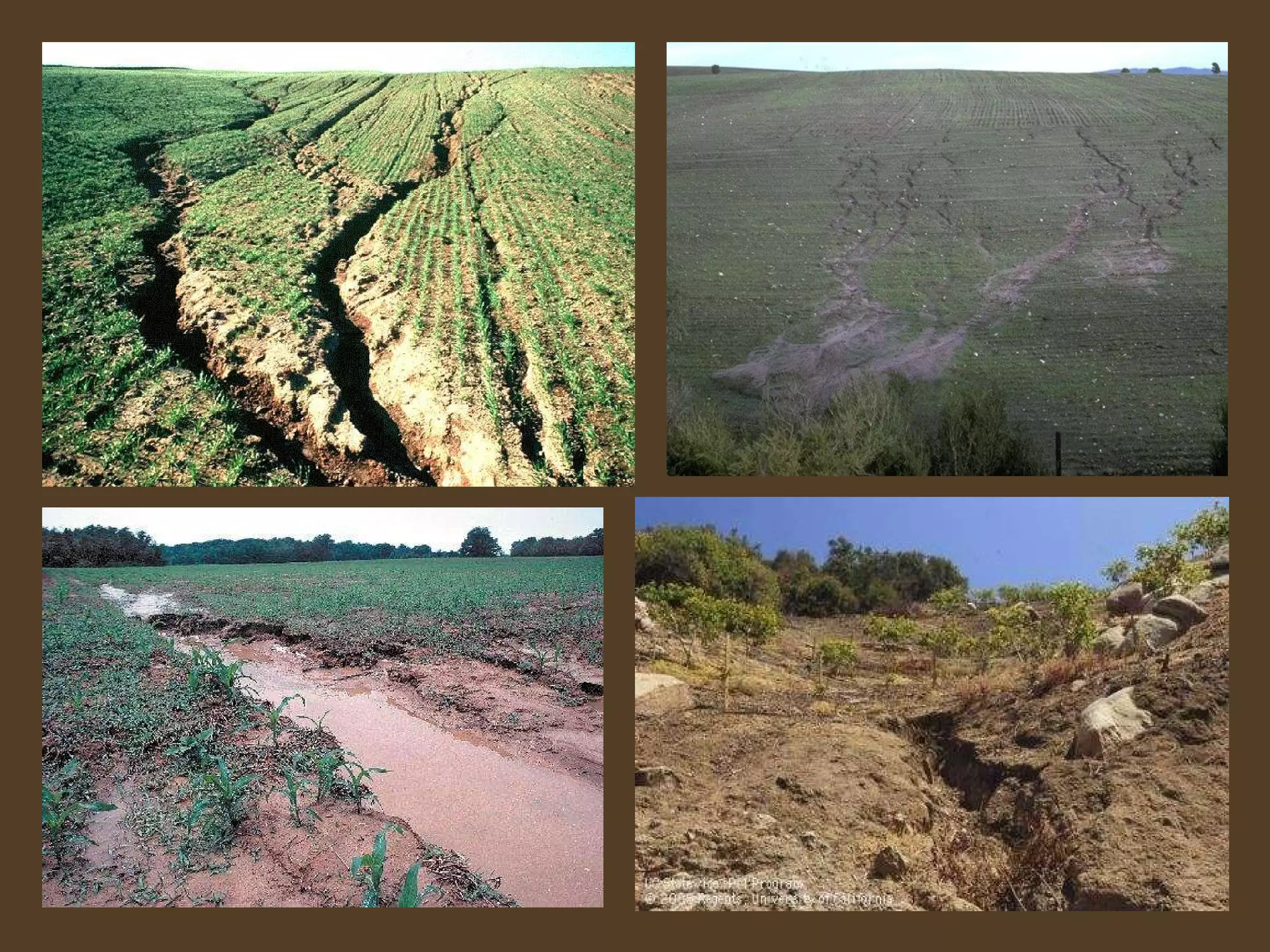 9.5 Ways We Use and Abuse Soil | PPT