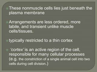 nonmuscle motility | PPTX