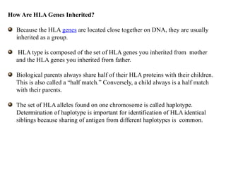 The HLA system , Immunolgy, Graft versus Host Reaction | PPTX