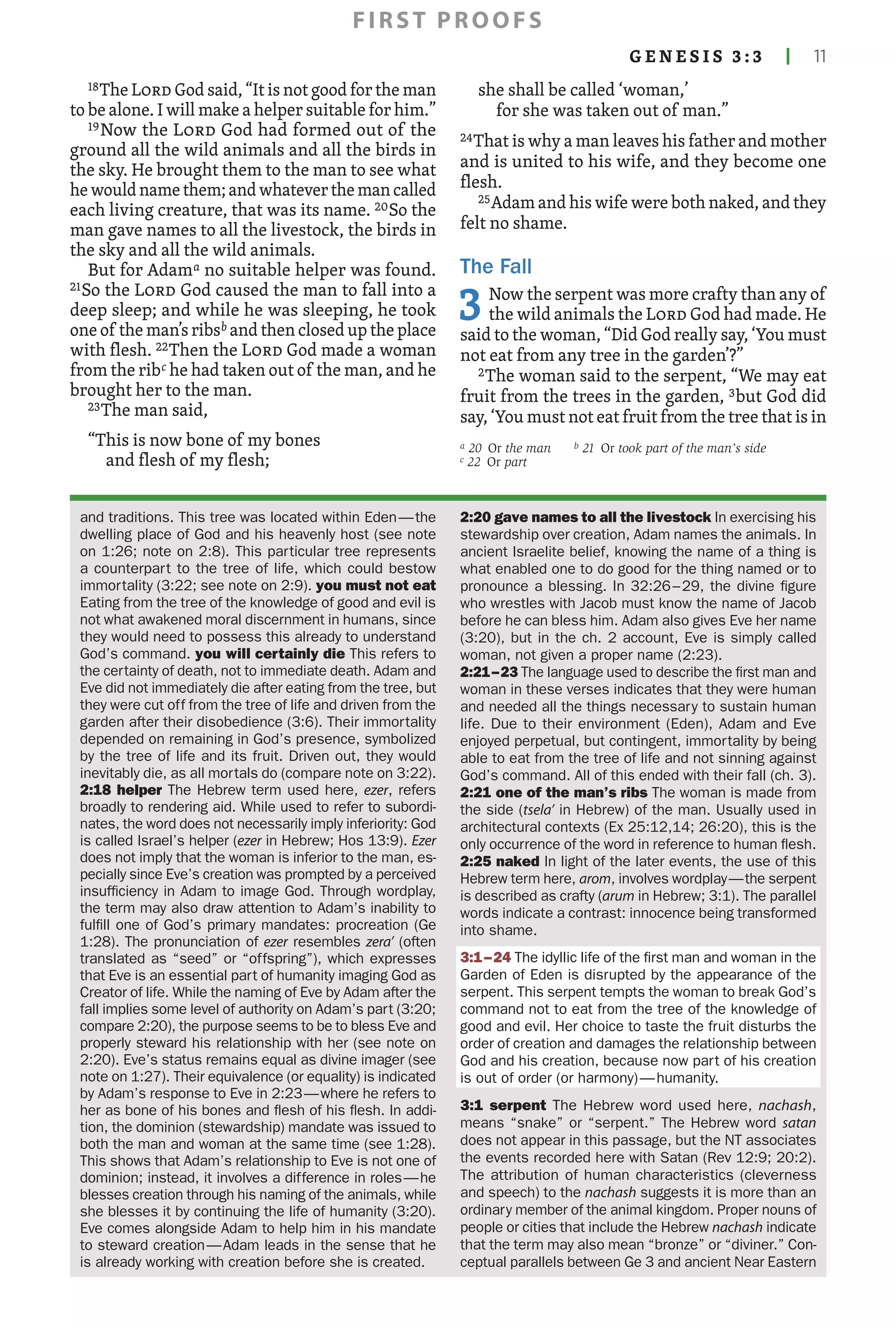 NIV Faithlife Study Bible *Sampler | PDF | Christianity | Religion ...