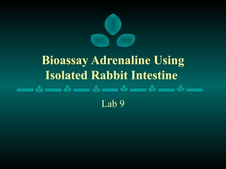 9 adrenaline | PPT