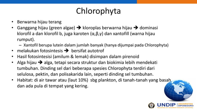 9-ALGA (CHLOROPHYTA_RHODOPHYTA_PHAEOPHYTA).pdf