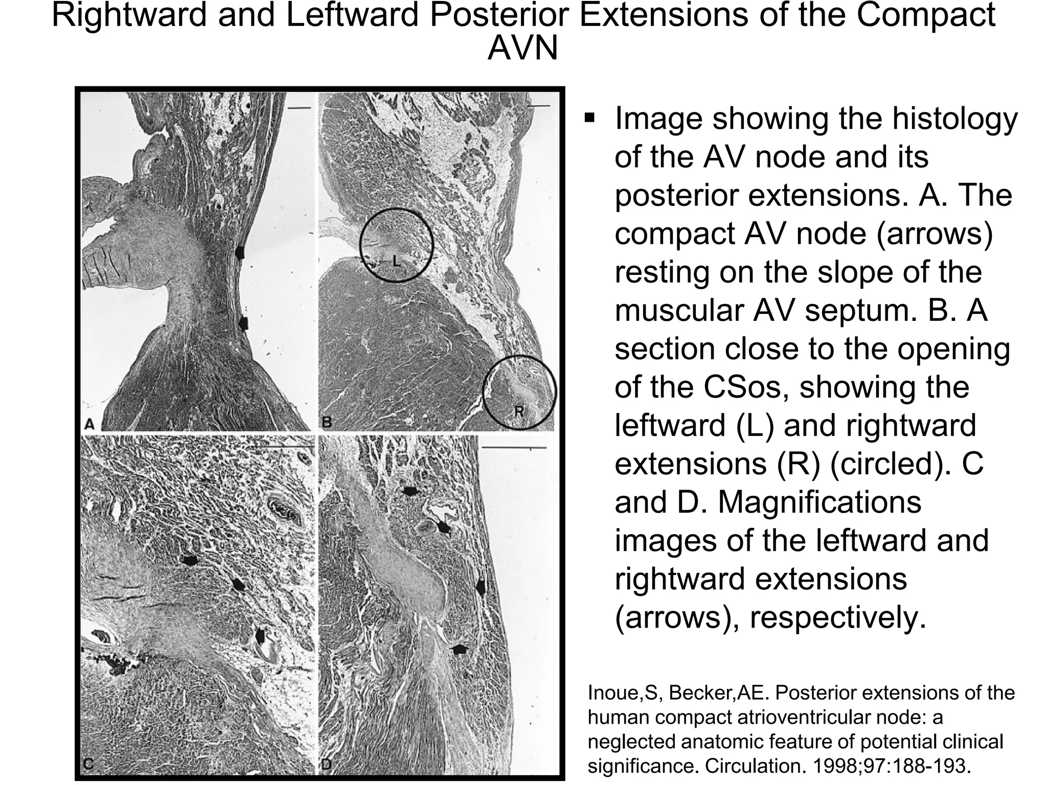 9.avnrt chang sl-0324-2 | PDF