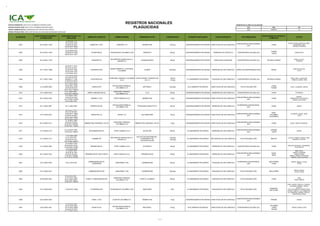 9-BD_REGISTROS-NACIONALES-PLAGUICIDAS_31-DE-AGOSTO-DE-2024.pdf