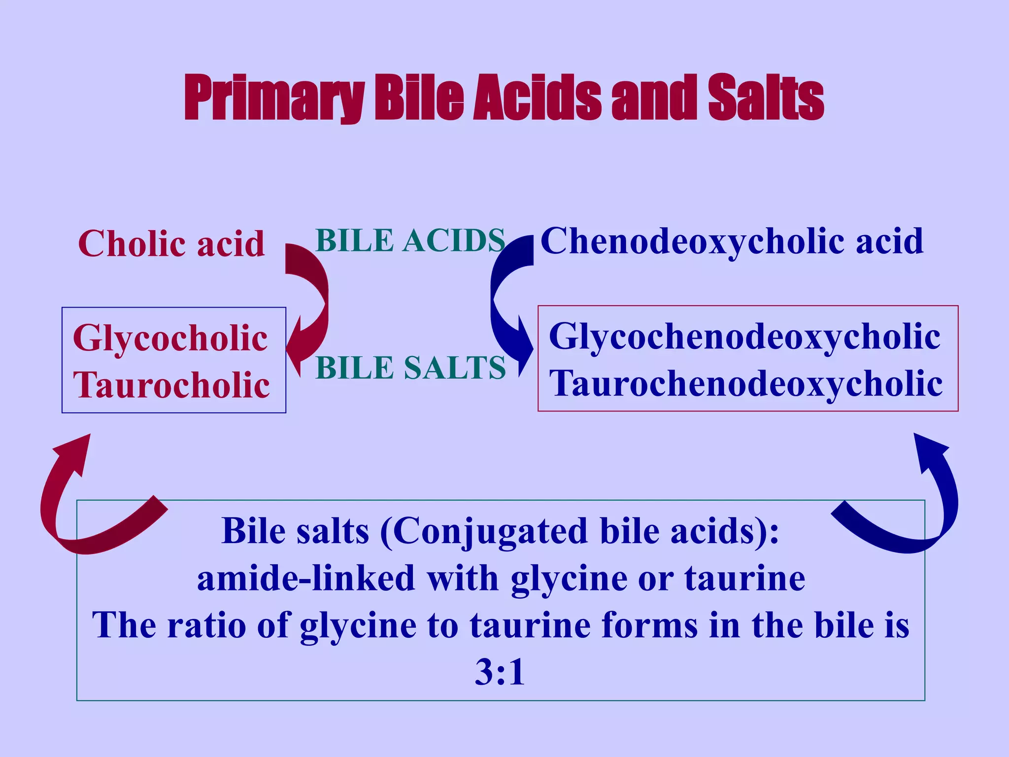 Bile acids and salts.pptx
