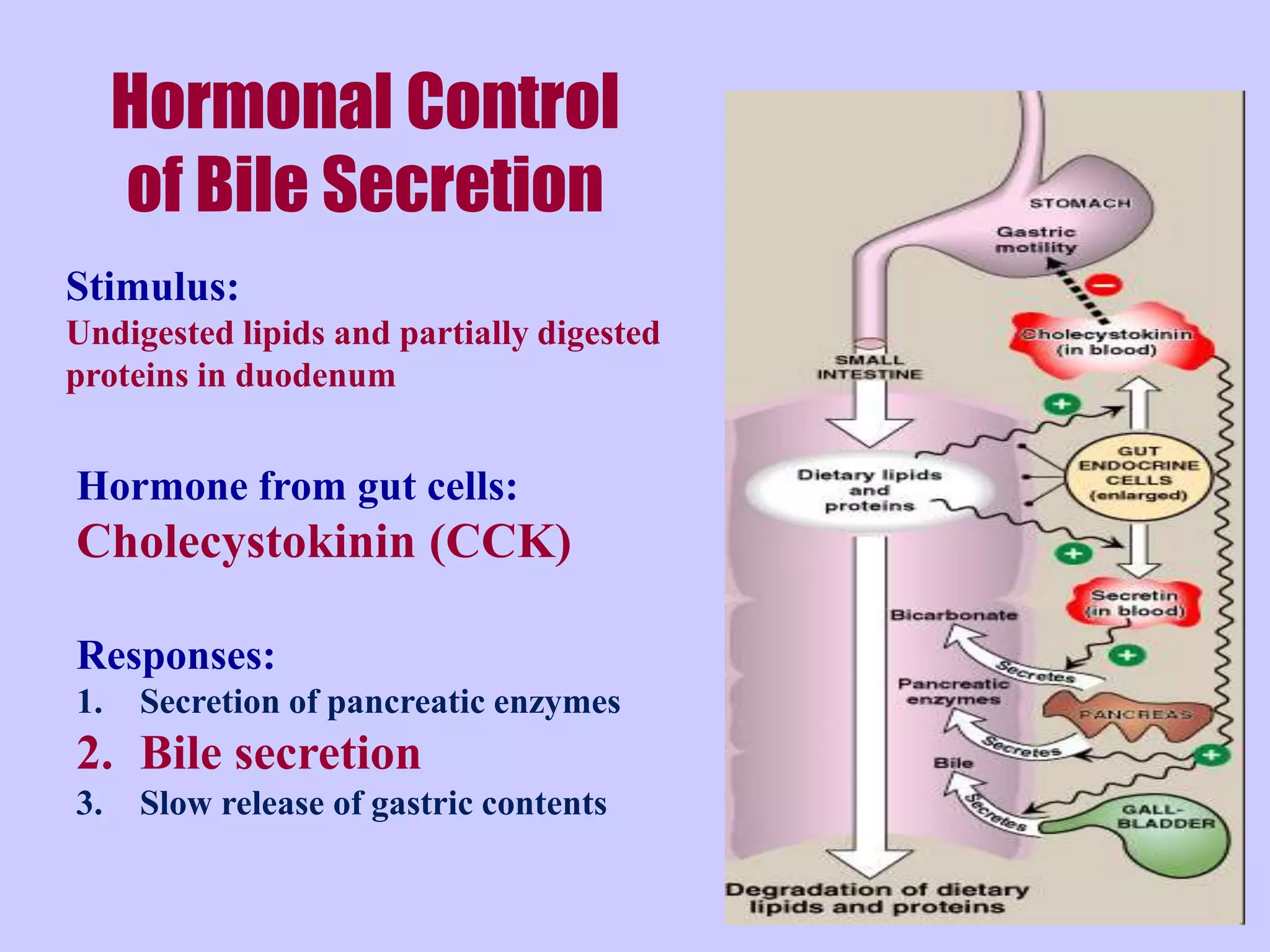 Bile acids and salts.pptx