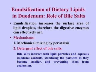 Bile acids and salts.pptx