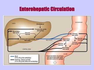 Bile acids and salts.pptx