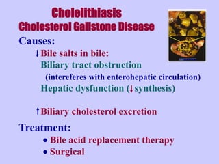 Bile acids and salts.pptx