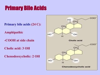 Bile acids and salts.pptx