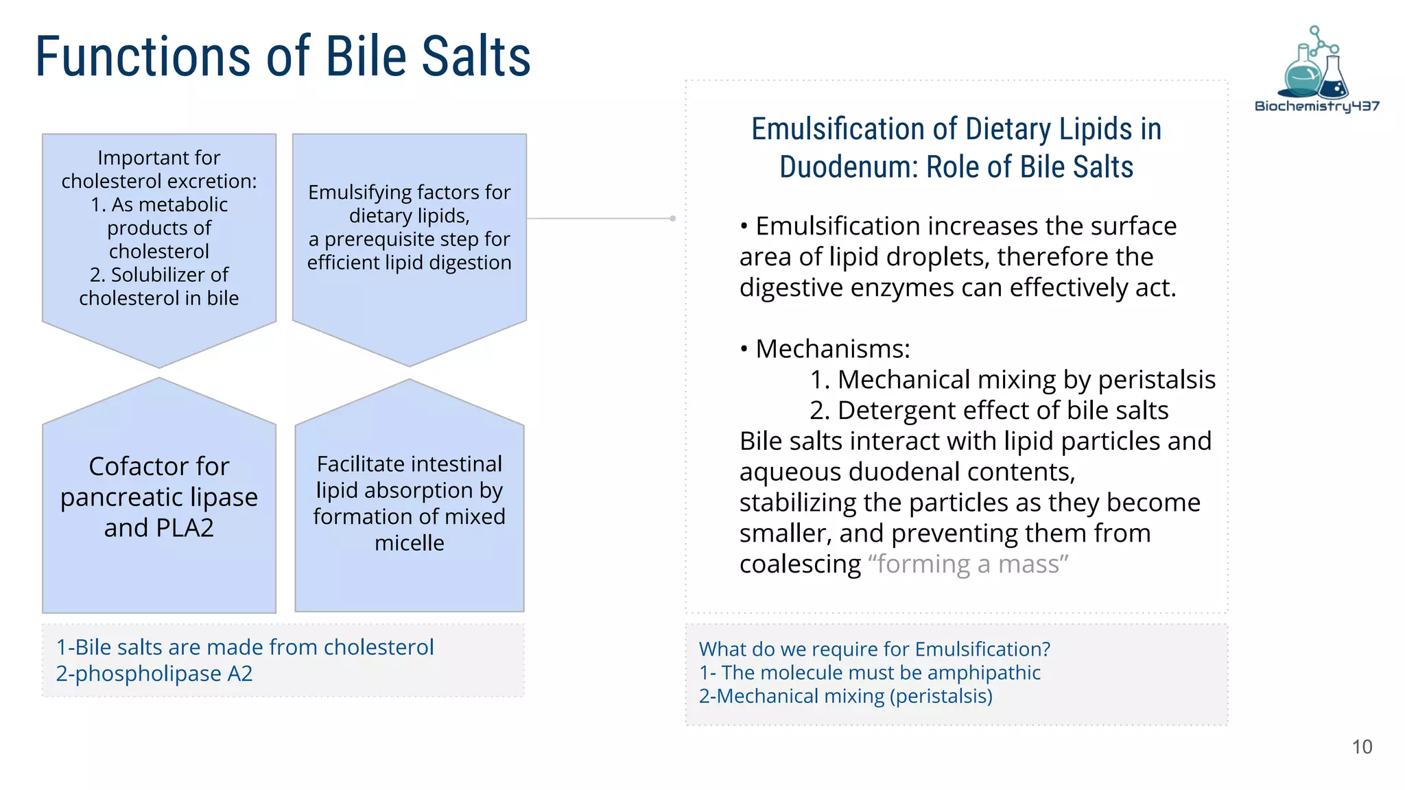 9- biochemical aspect of bile acid and salt.pdf