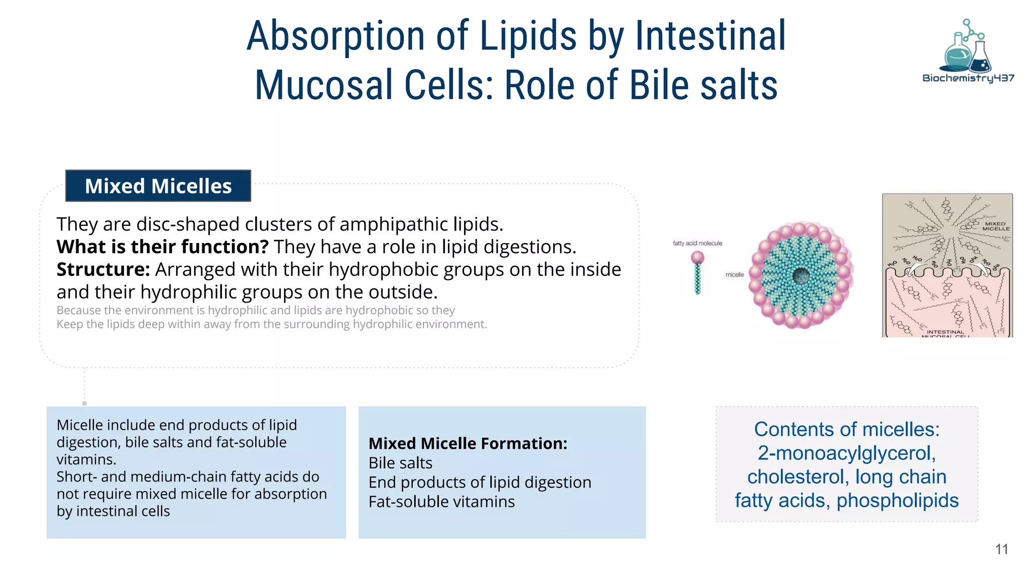 9- biochemical aspect of bile acid and salt.pdf