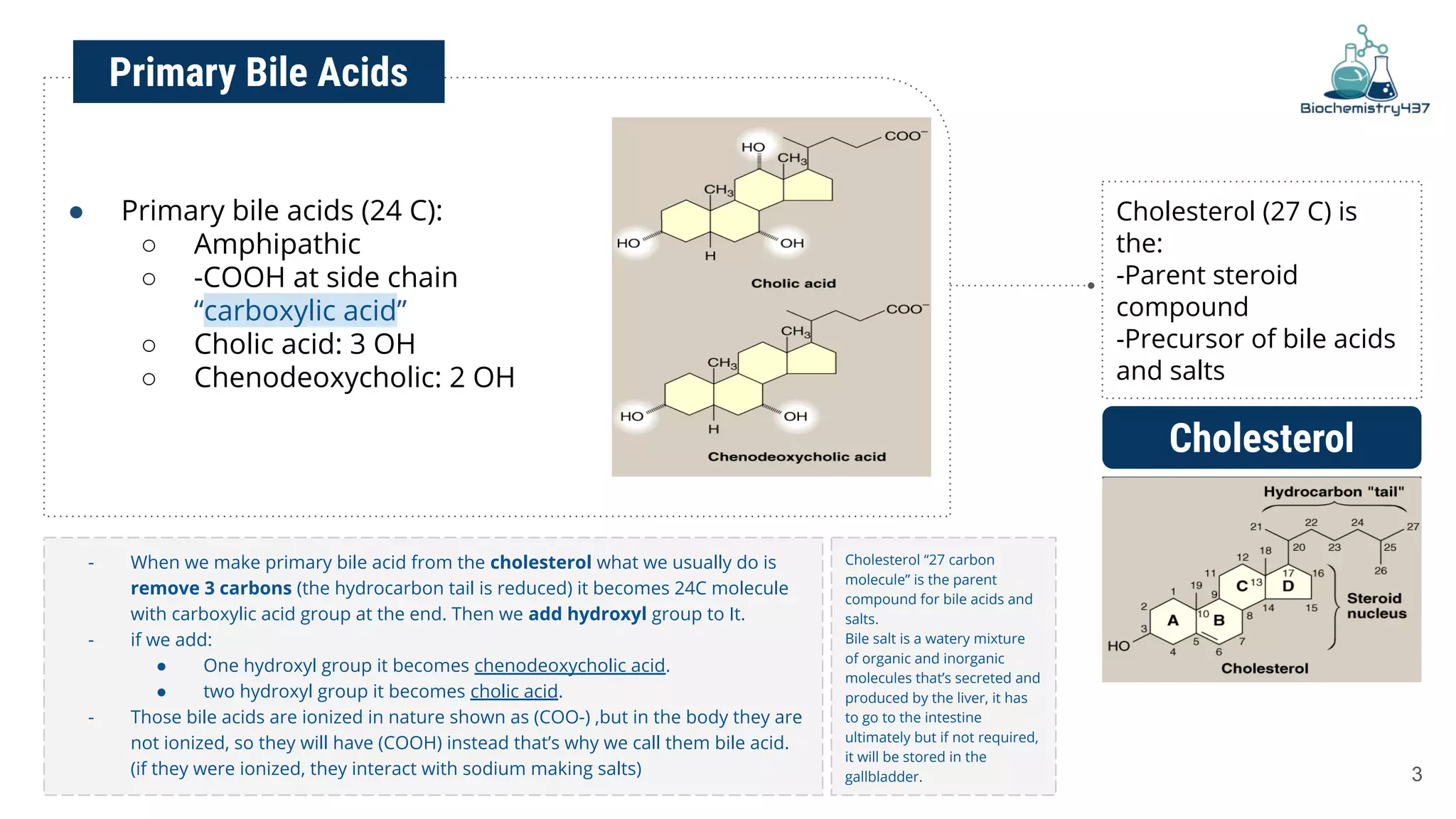 9- biochemical aspect of bile acid and salt.pdf