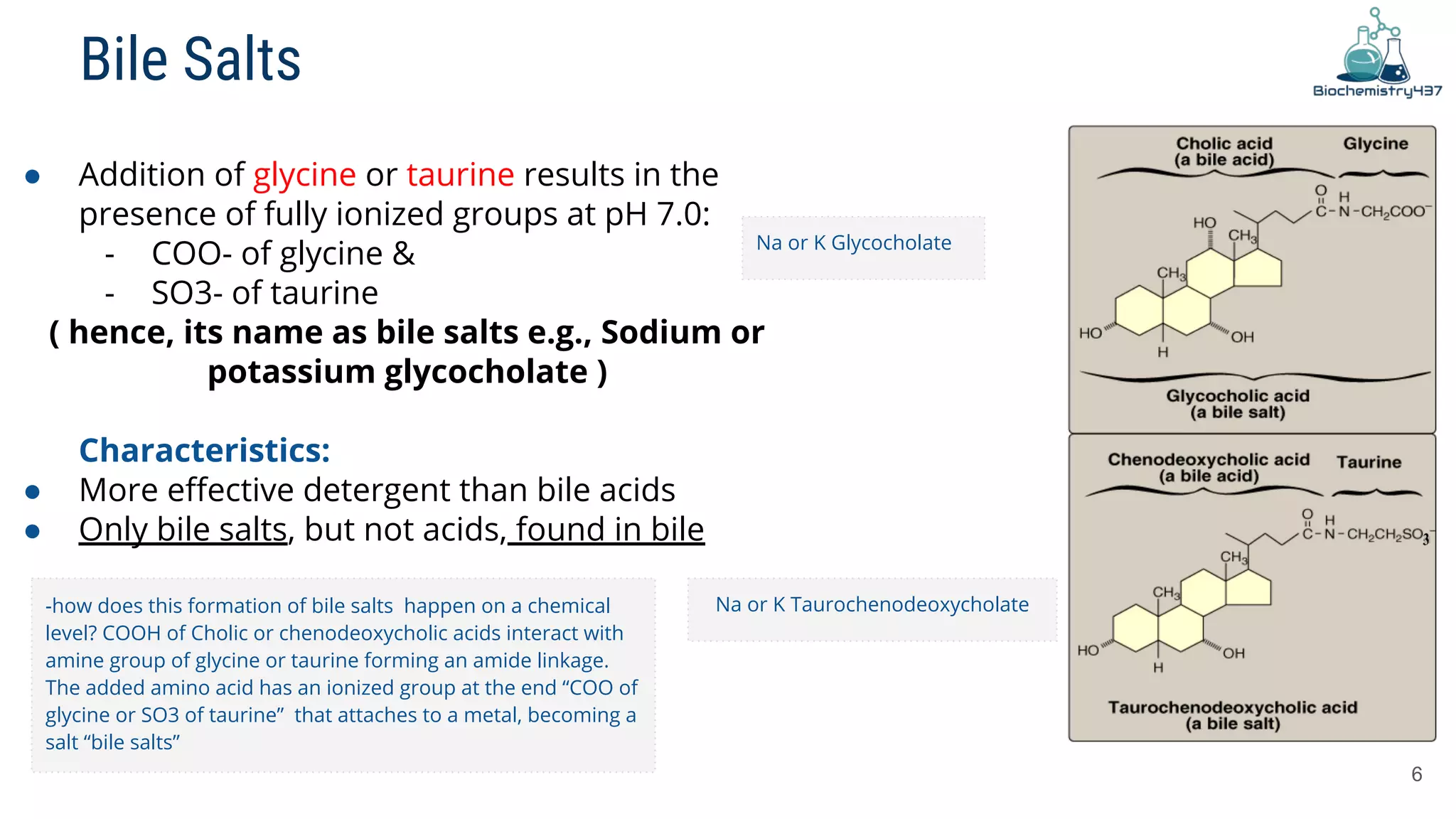9- biochemical aspect of bile acid and salt.pdf
