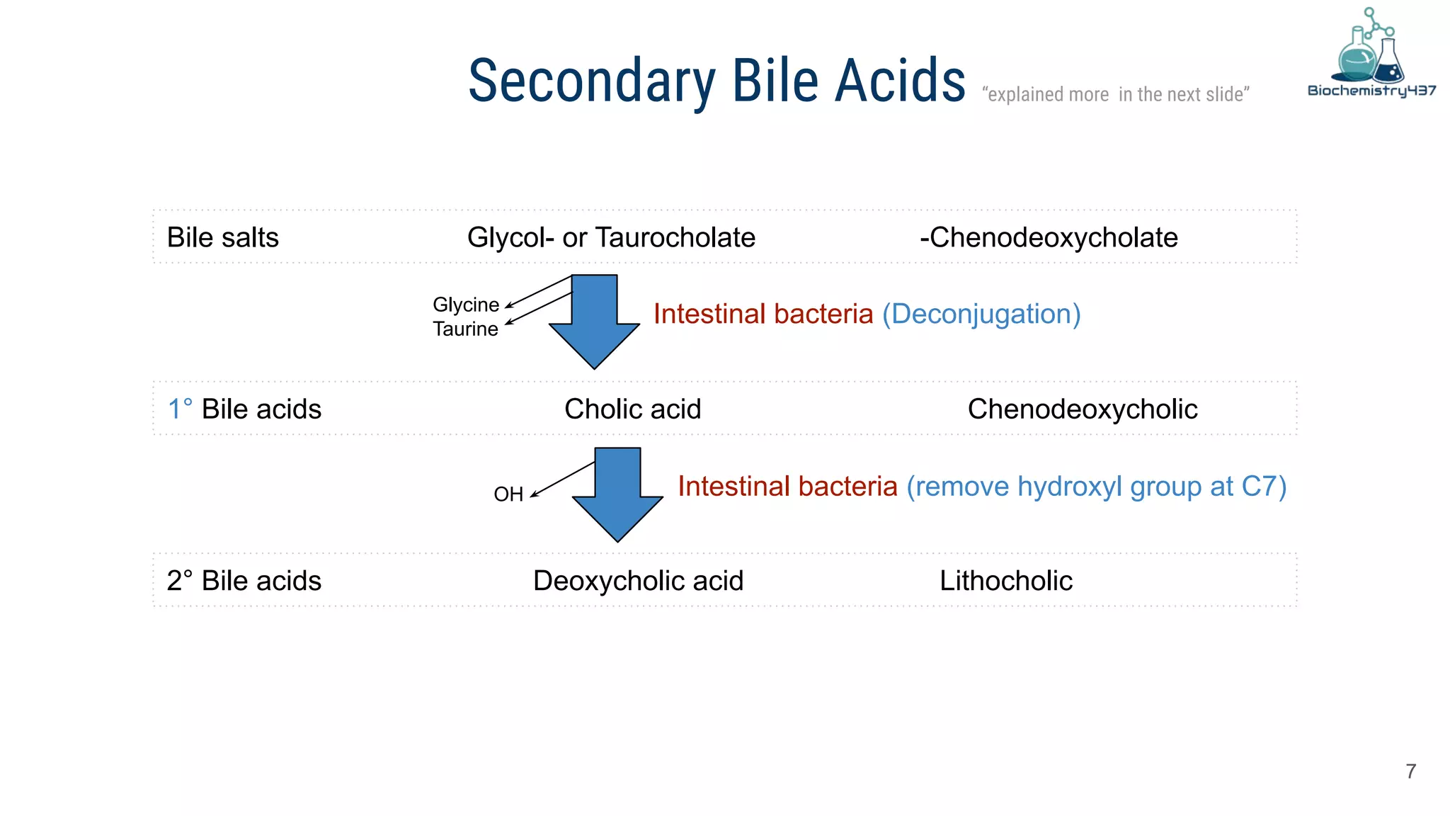 9- biochemical aspect of bile acid and salt.pdf
