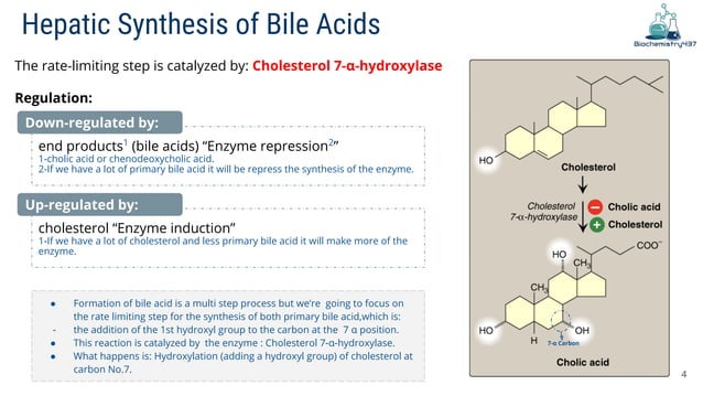9- biochemical aspect of bile acid and salt.pdf | Digestive Disorders ...