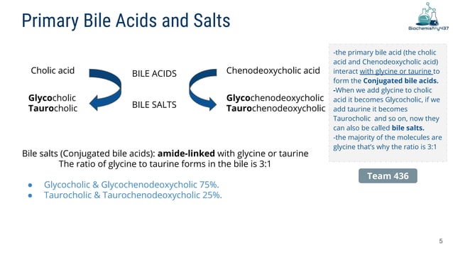 9- biochemical aspect of bile acid and salt.pdf | Digestive Disorders ...