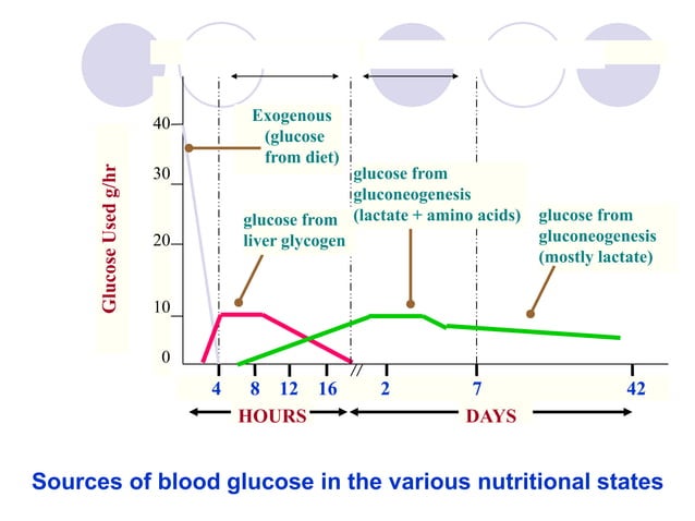 9 blood glucose | PDF