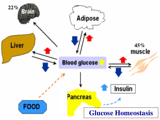 9 blood glucose