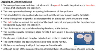 9- Bowel Elimination, anatomy and structure | PPTX
