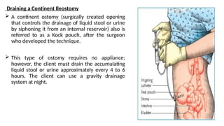9- Bowel Elimination, anatomy and structure | PPT