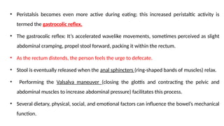9- Bowel Elimination, anatomy and structure | PPT