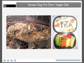 People For The Ethical Treatment Of Animals - PETA | PPT | Pets