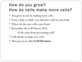 9 cell cycle-mitosis | PPT