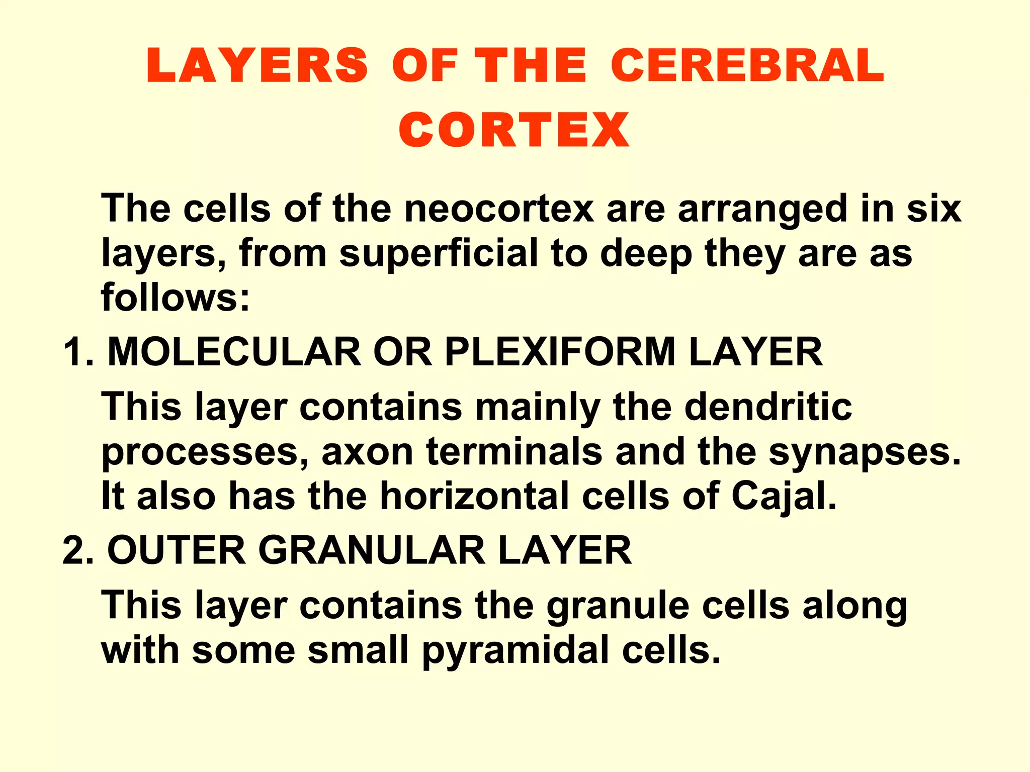 9. cerebral cortex-08-09 | PPT | Brain and Nervous System Disorders ...
