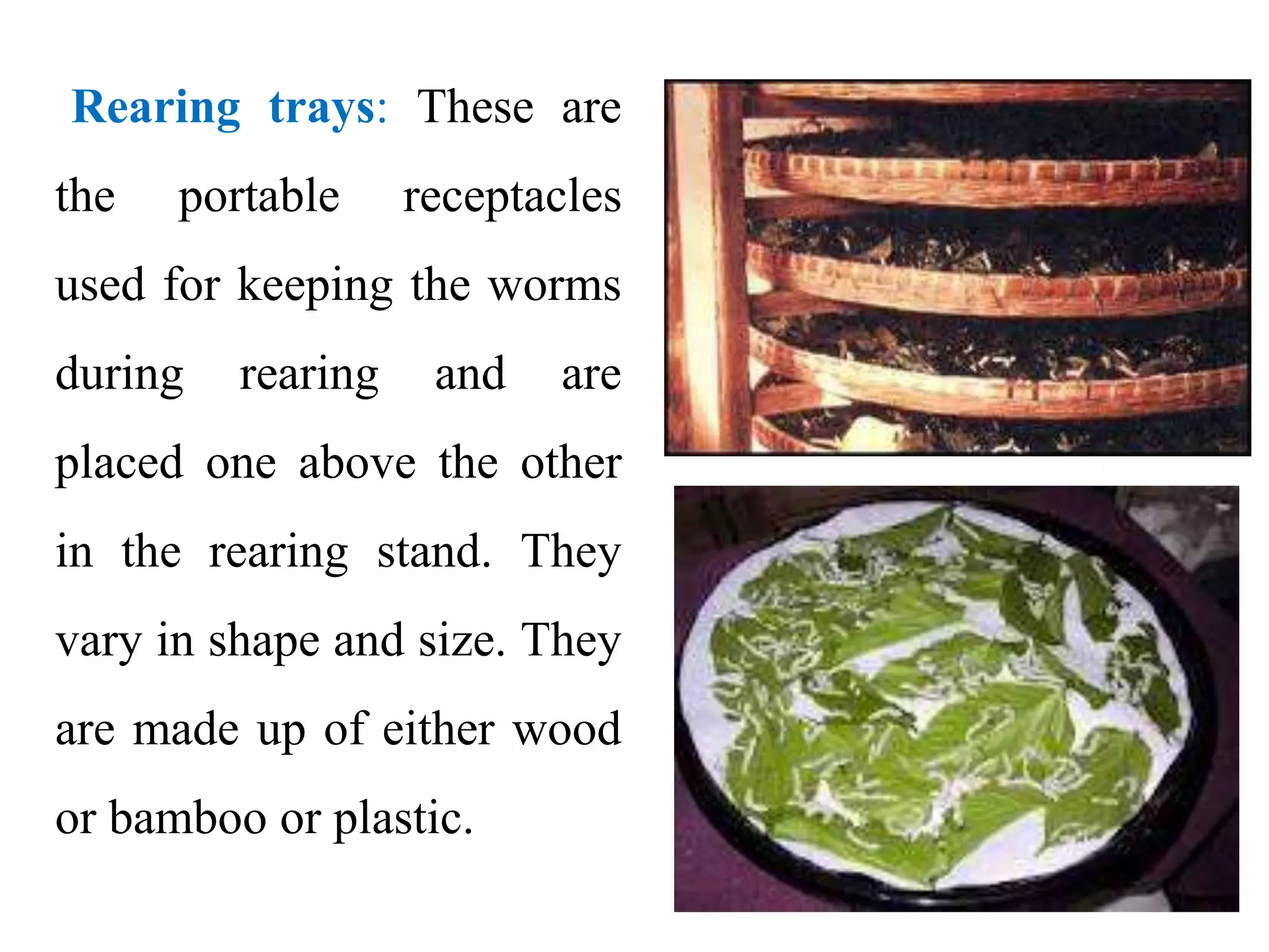 9 chapter silkworm rearing plan , rearing house plan and equipments | PPTX