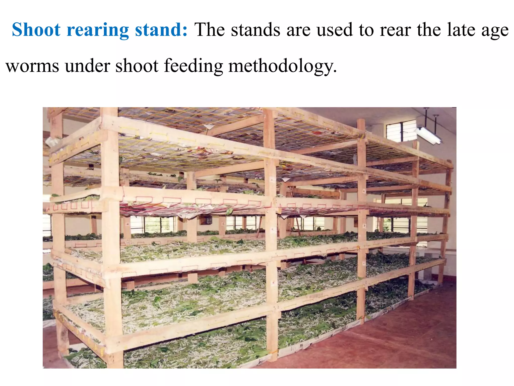 9 chapter silkworm rearing plan , rearing house plan and equipments | PPTX