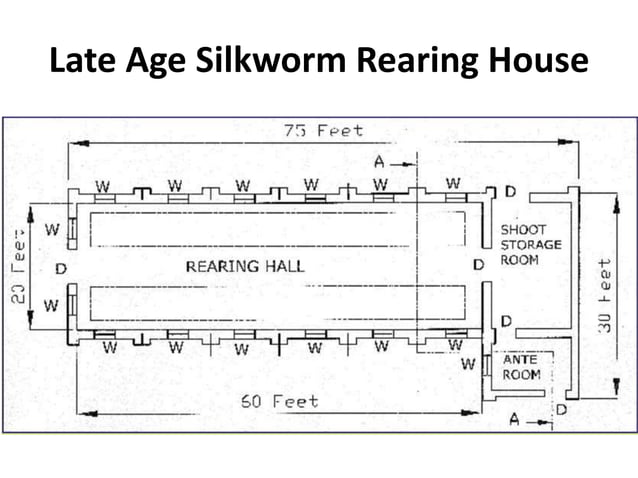 9 chapter silkworm rearing plan , rearing house plan and equipments | PPTX