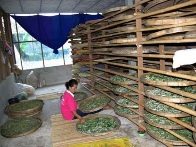 9 chapter silkworm rearing plan , rearing house plan and equipments | PPTX