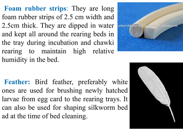 9 chapter silkworm rearing plan , rearing house plan and equipments | PPTX