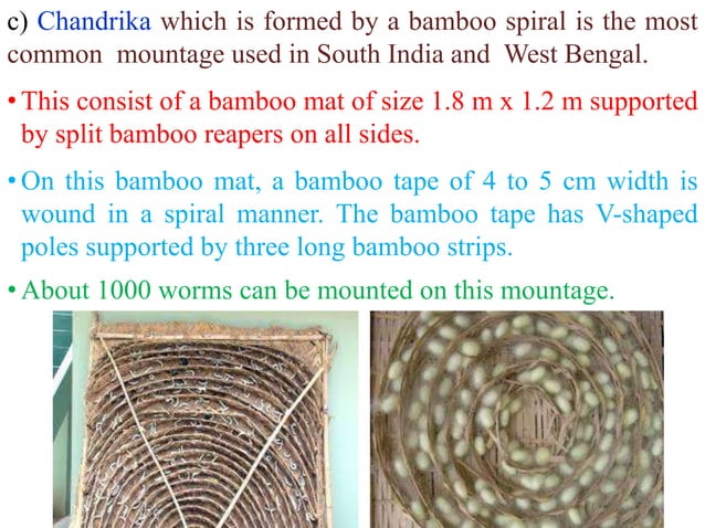 9 chapter silkworm rearing plan , rearing house plan and equipments | PPTX