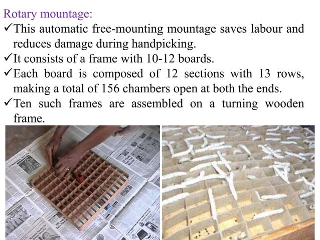 9 chapter silkworm rearing plan , rearing house plan and equipments | PPTX